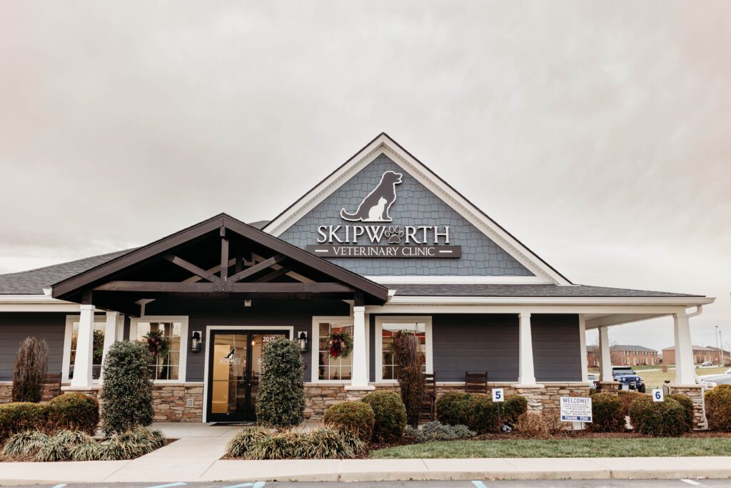 Payment Options For Veterinary Care | Skipworth Veterinary Clinic